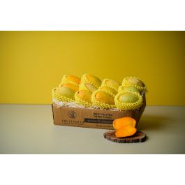 Fruit Pack - Mango Hammam