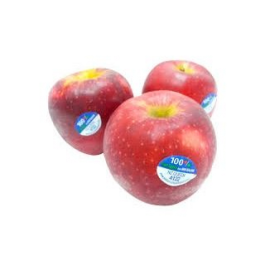 Buy 100% Fresh Queen Apple at Best Price in Delhi NCR | FruitSmith